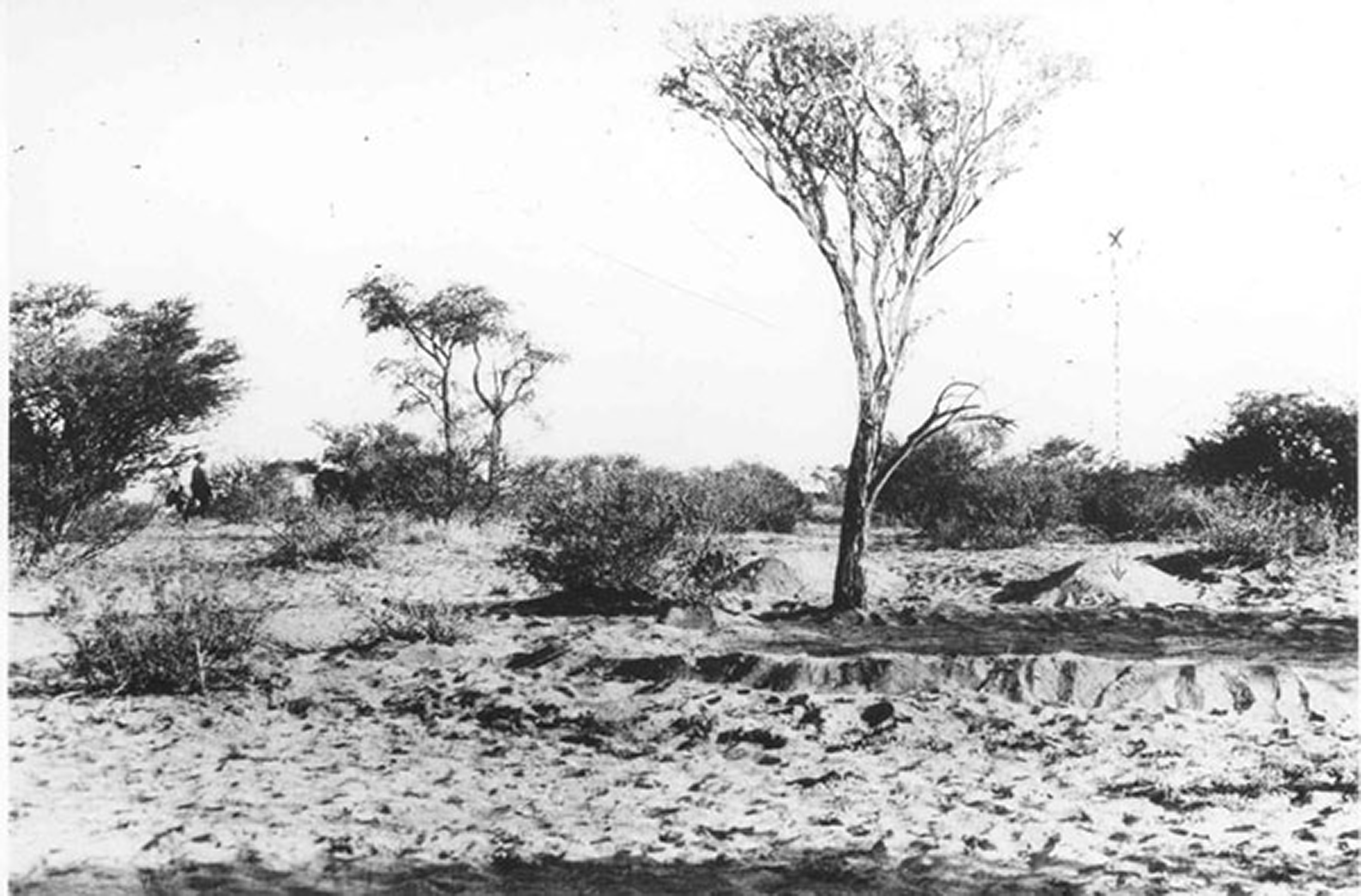 Day 16: The Scourge of the Kaiserbird | kaiserbirddotcom